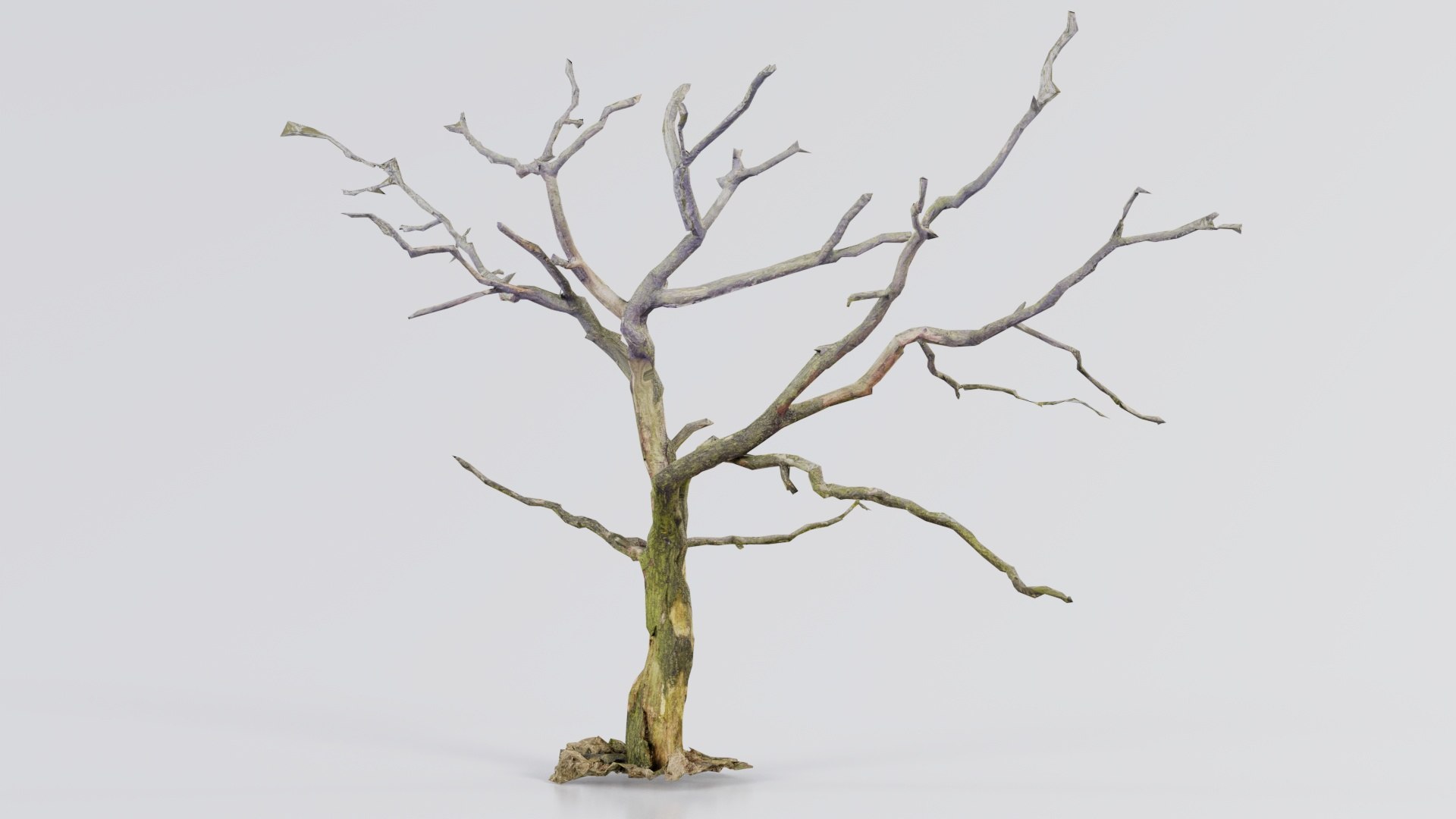 Lonesome Tree Remastered 3D - TurboSquid 2363166