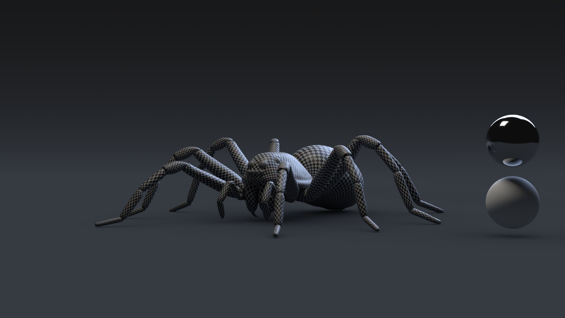 Wolf Spider 3D Model - TurboSquid 1250355
