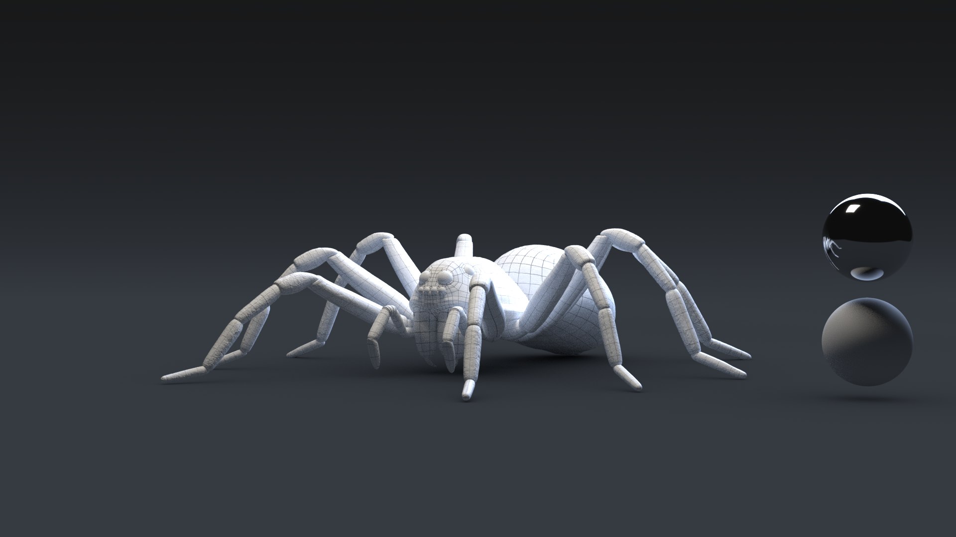 Wolf Spider 3D Model - TurboSquid 1250355