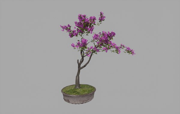 Low Poly Tree SketchUp Models for Download | TurboSquid