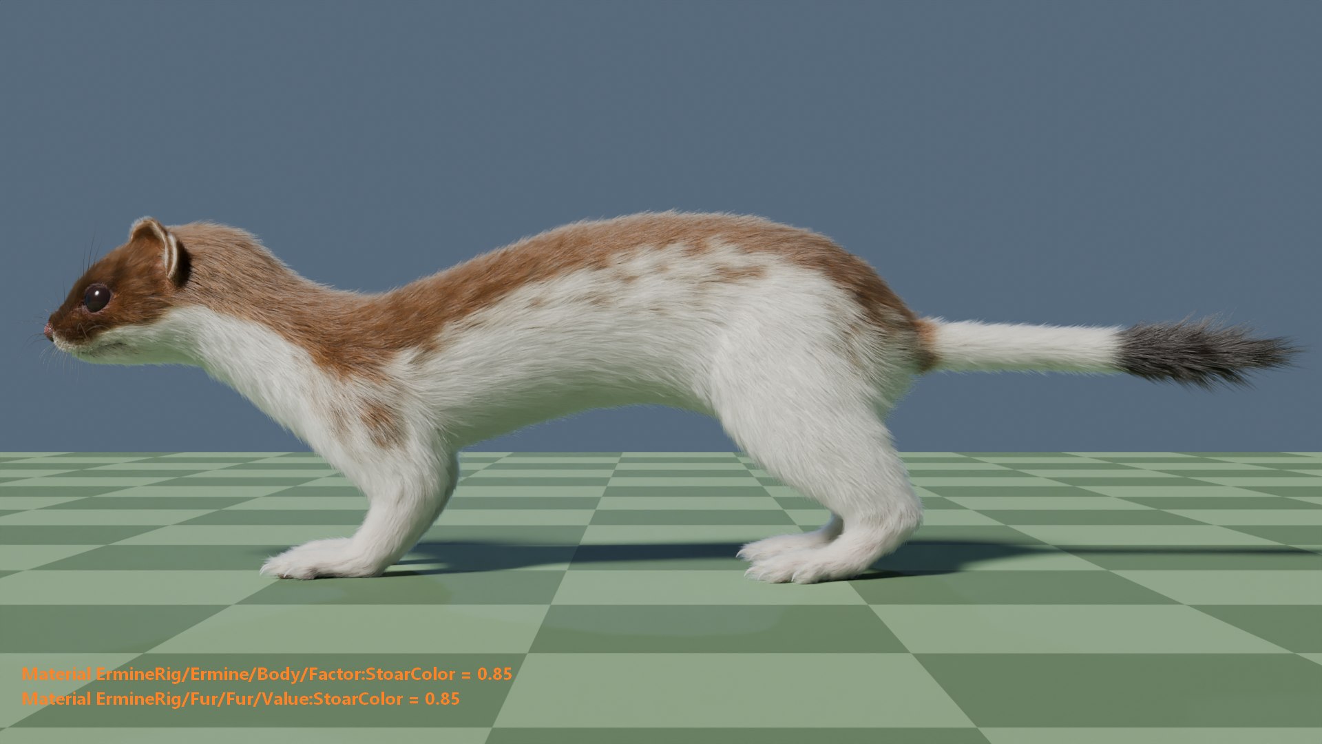 3D Ermine - TurboSquid 2231732