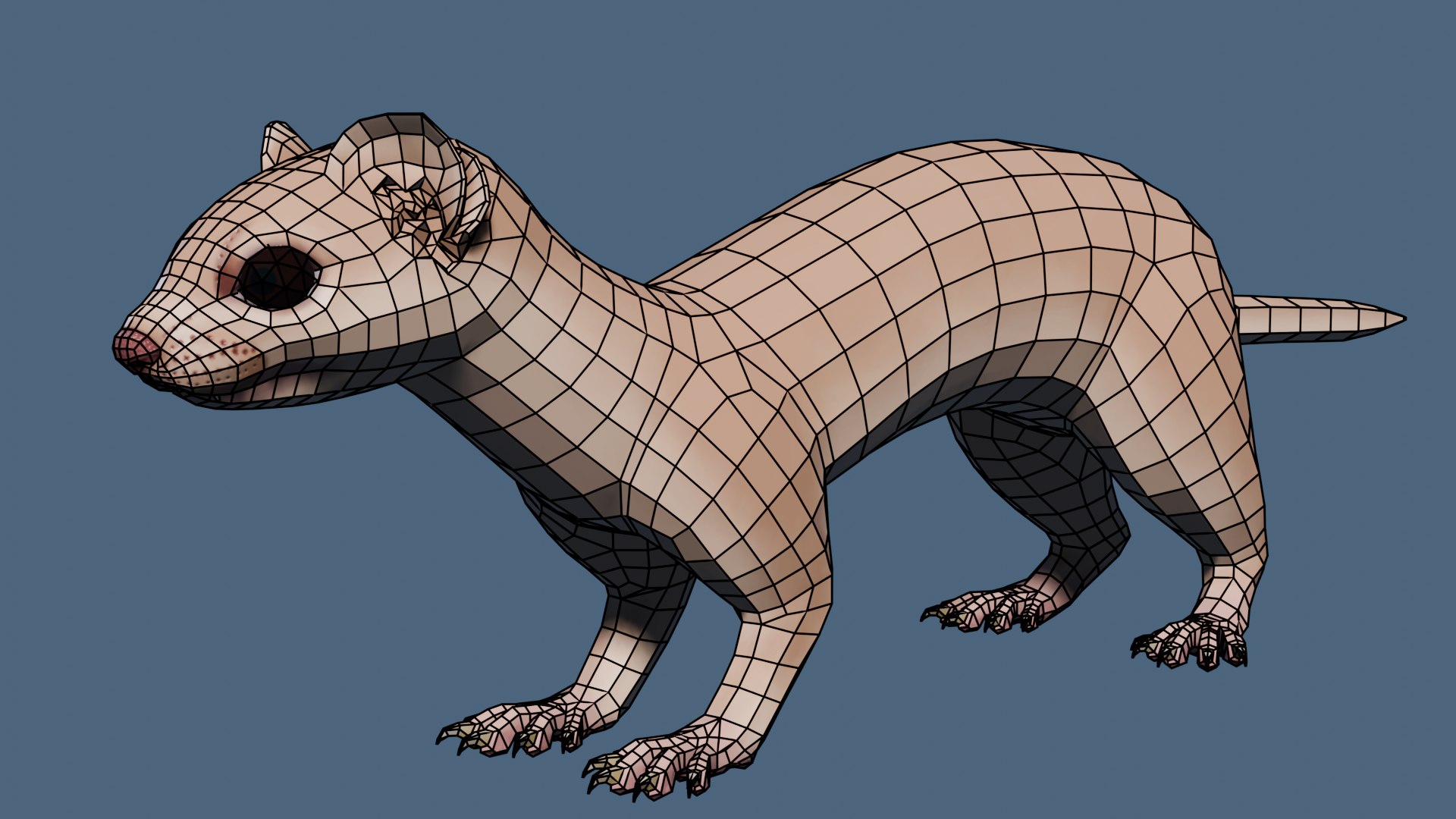 3D Ermine - TurboSquid 2231732