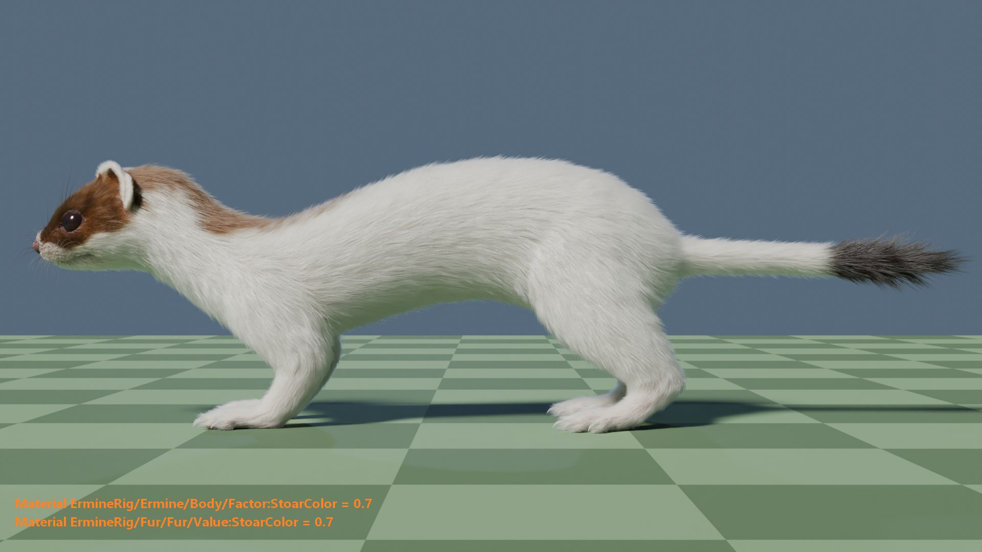 3D Ermine - TurboSquid 2231732