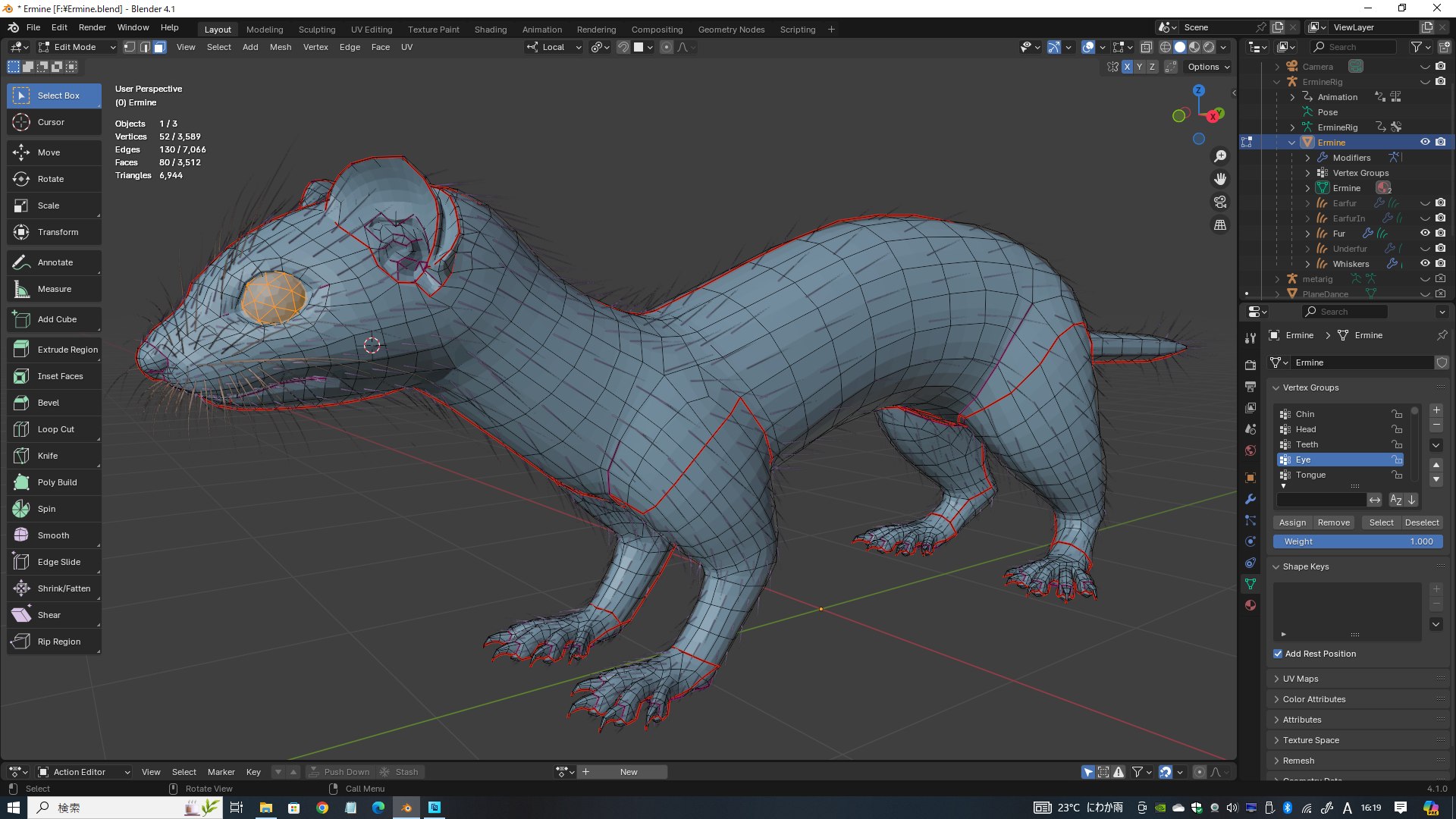 3D Ermine - TurboSquid 2231732