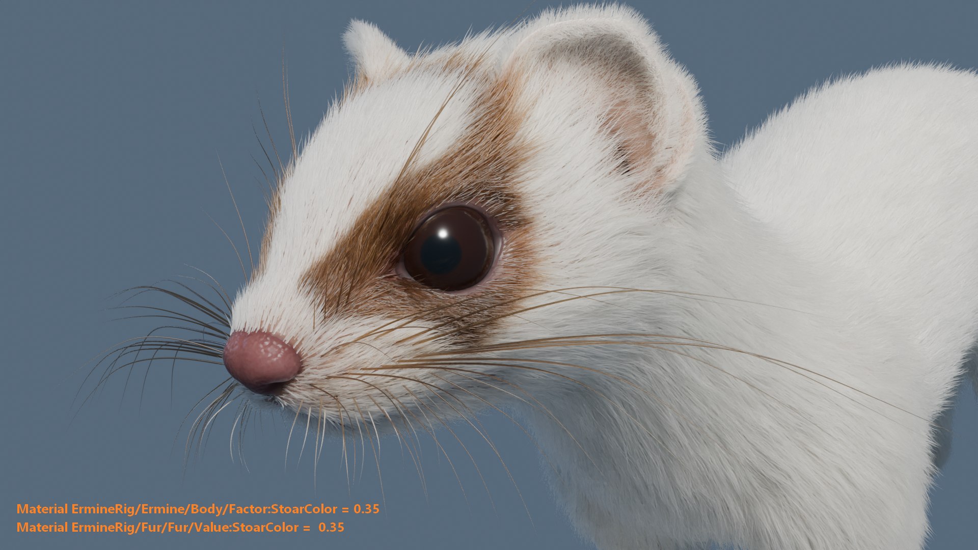 3D Ermine - TurboSquid 2231732