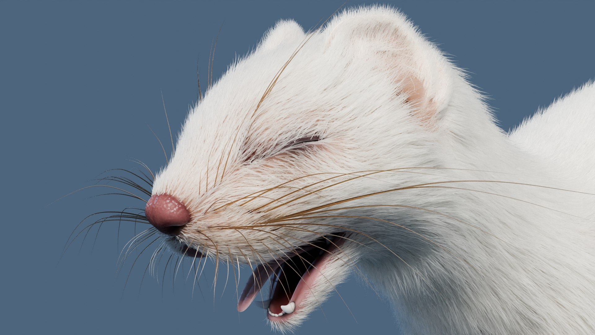 3D Ermine - TurboSquid 2231732