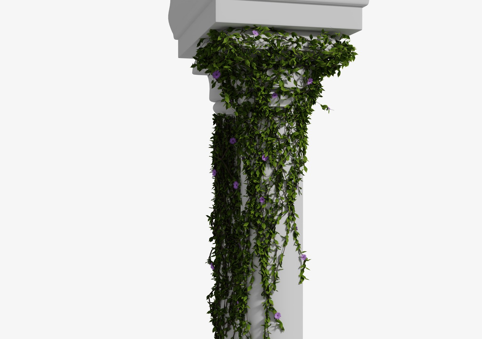 Ivy 3D Model - TurboSquid 1506814