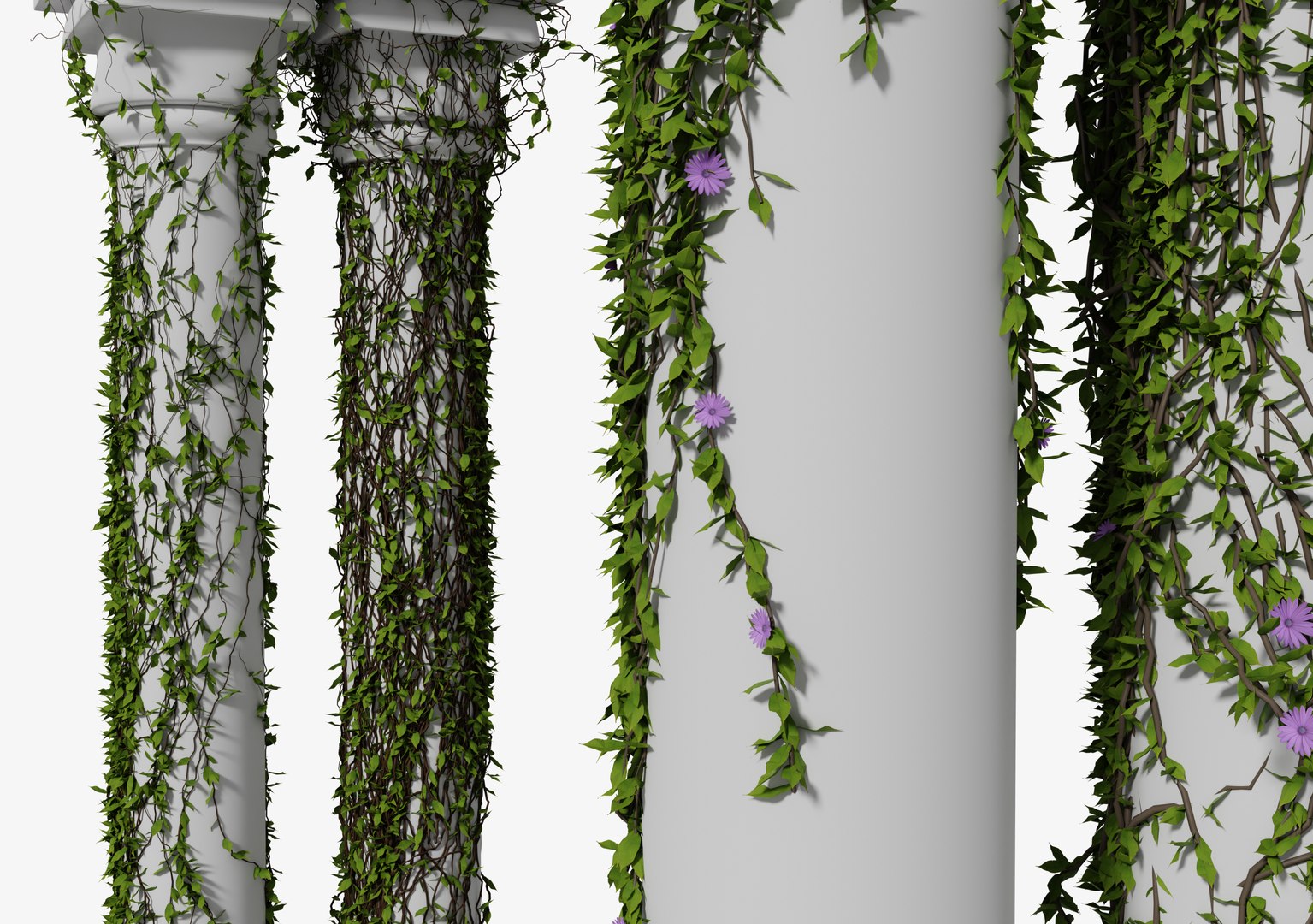 Ivy 3D Model - TurboSquid 1506814