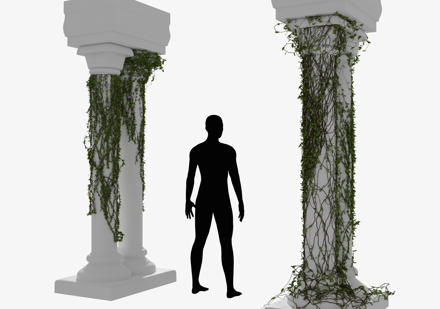 Ivy 3D Model - TurboSquid 1506814
