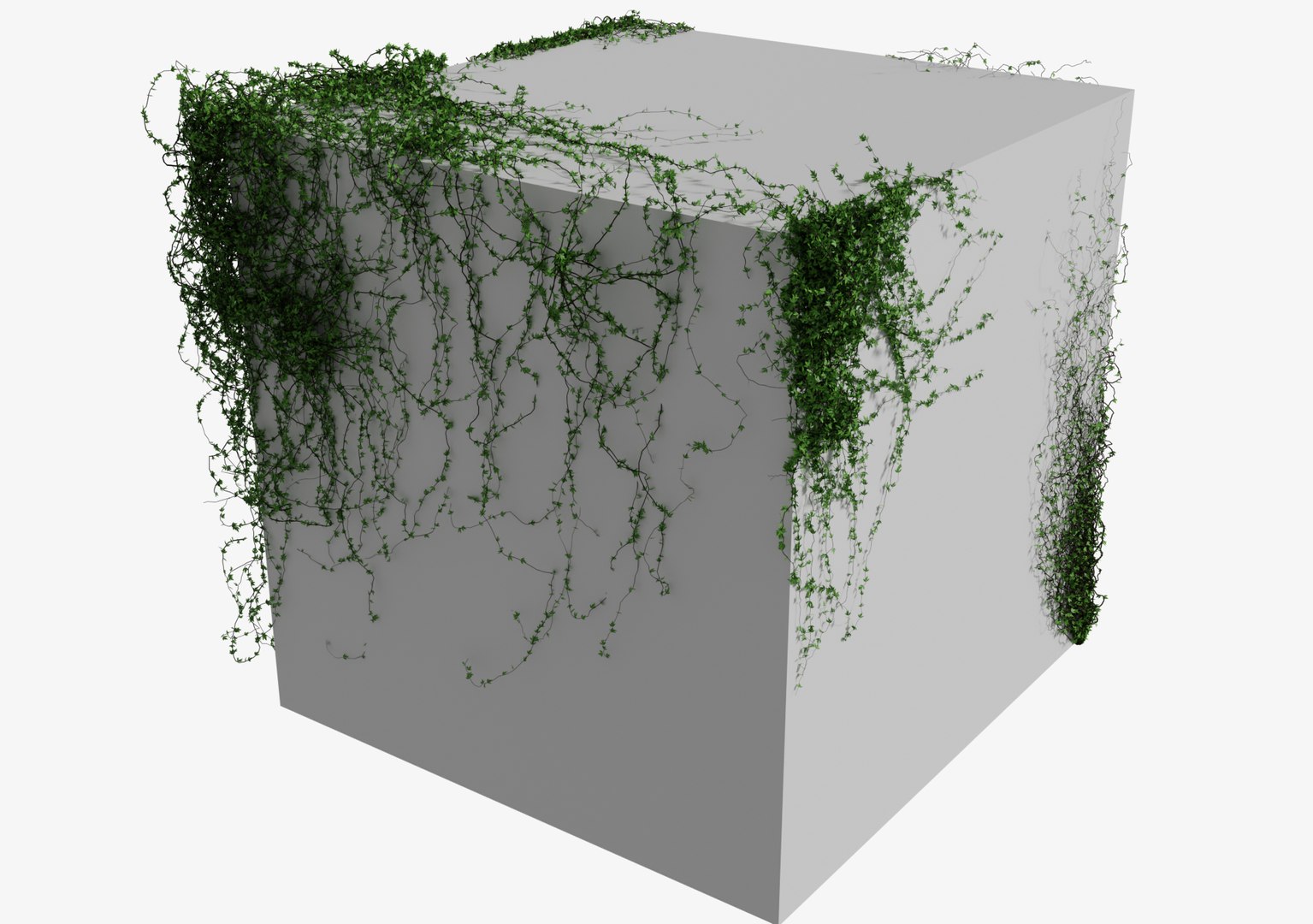 Ivy 3D Model - TurboSquid 1506814