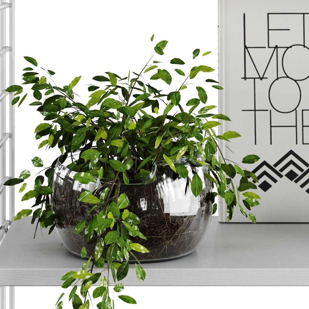 String Decorative Shelf 02 Model - TurboSquid 2246470