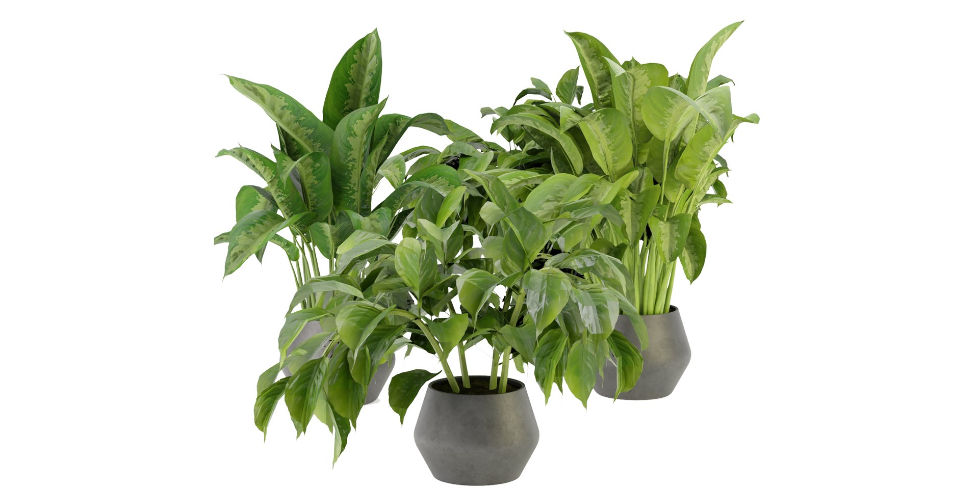 Collection plant vol 290 - blender model model - TurboSquid 2091965