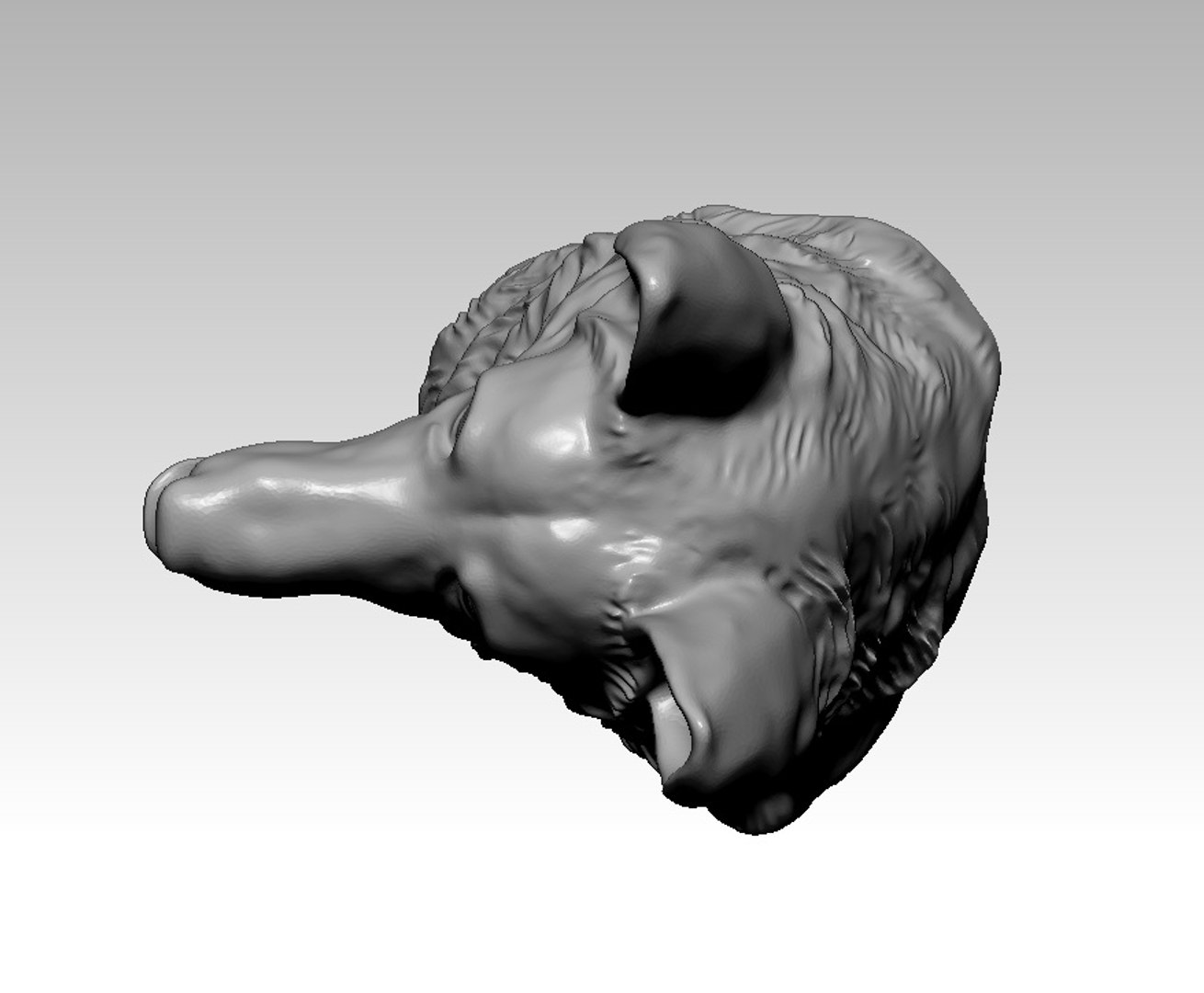 3D Model Dog Head - TurboSquid 1298163