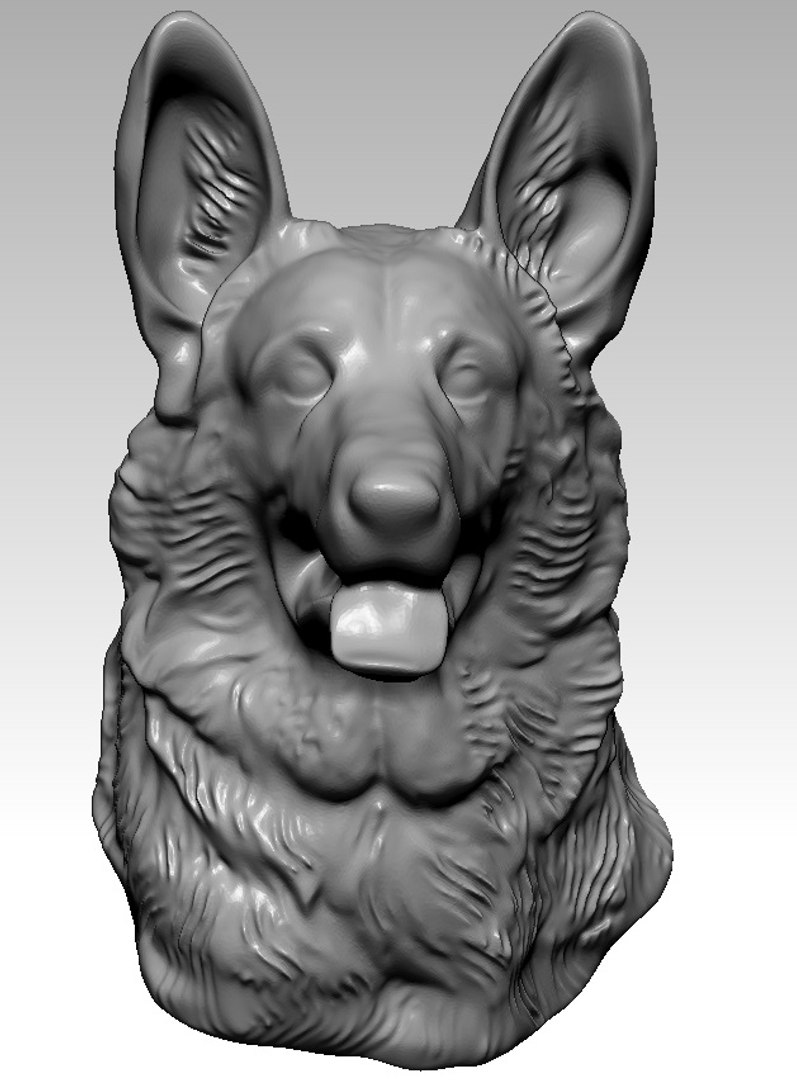 3D Model Dog Head - TurboSquid 1298163
