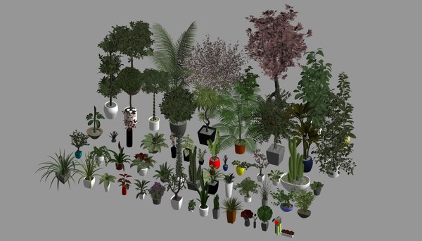 modelo 3d Familia de plantas Revit - TurboSquid 2258749