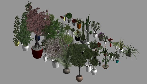 modelo 3d Familia de plantas Revit - TurboSquid 2258749