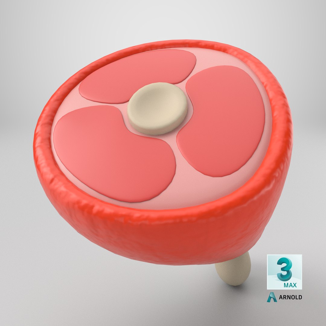 Stylized Meat Cut 3D Model - TurboSquid 2421077