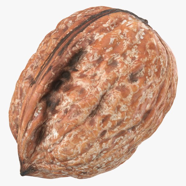 3D walnut 04 - TurboSquid 1448240