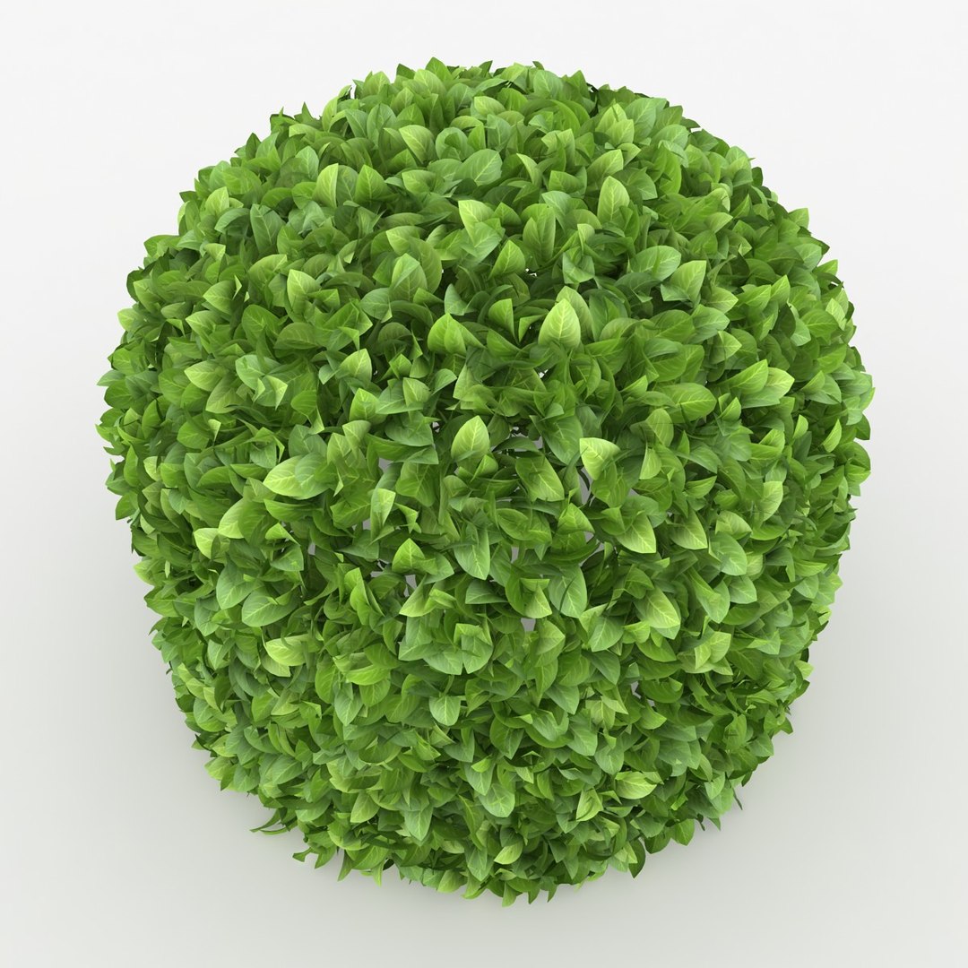 realistic hedge 04 3d model