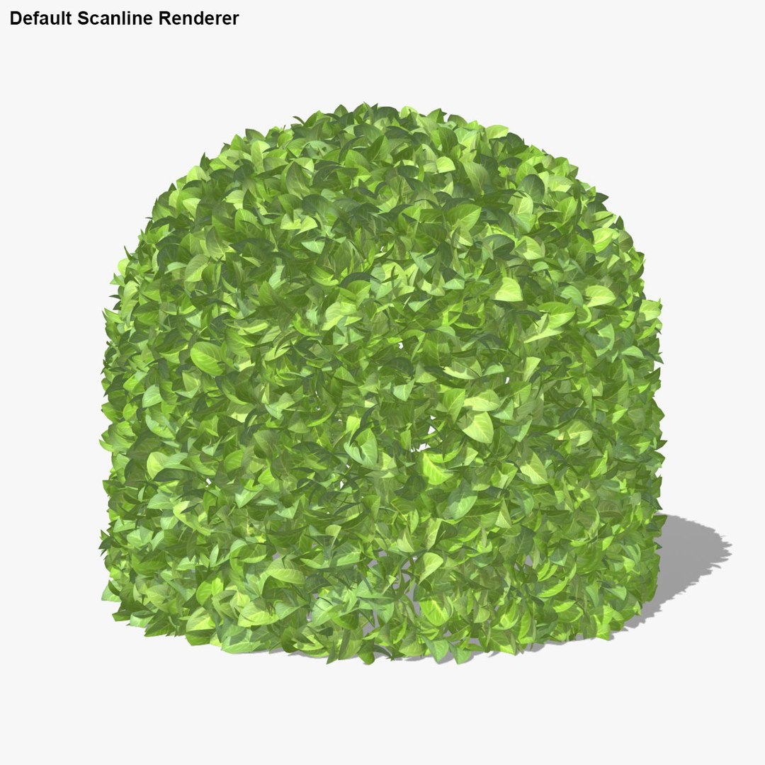 realistic hedge 04 3d model