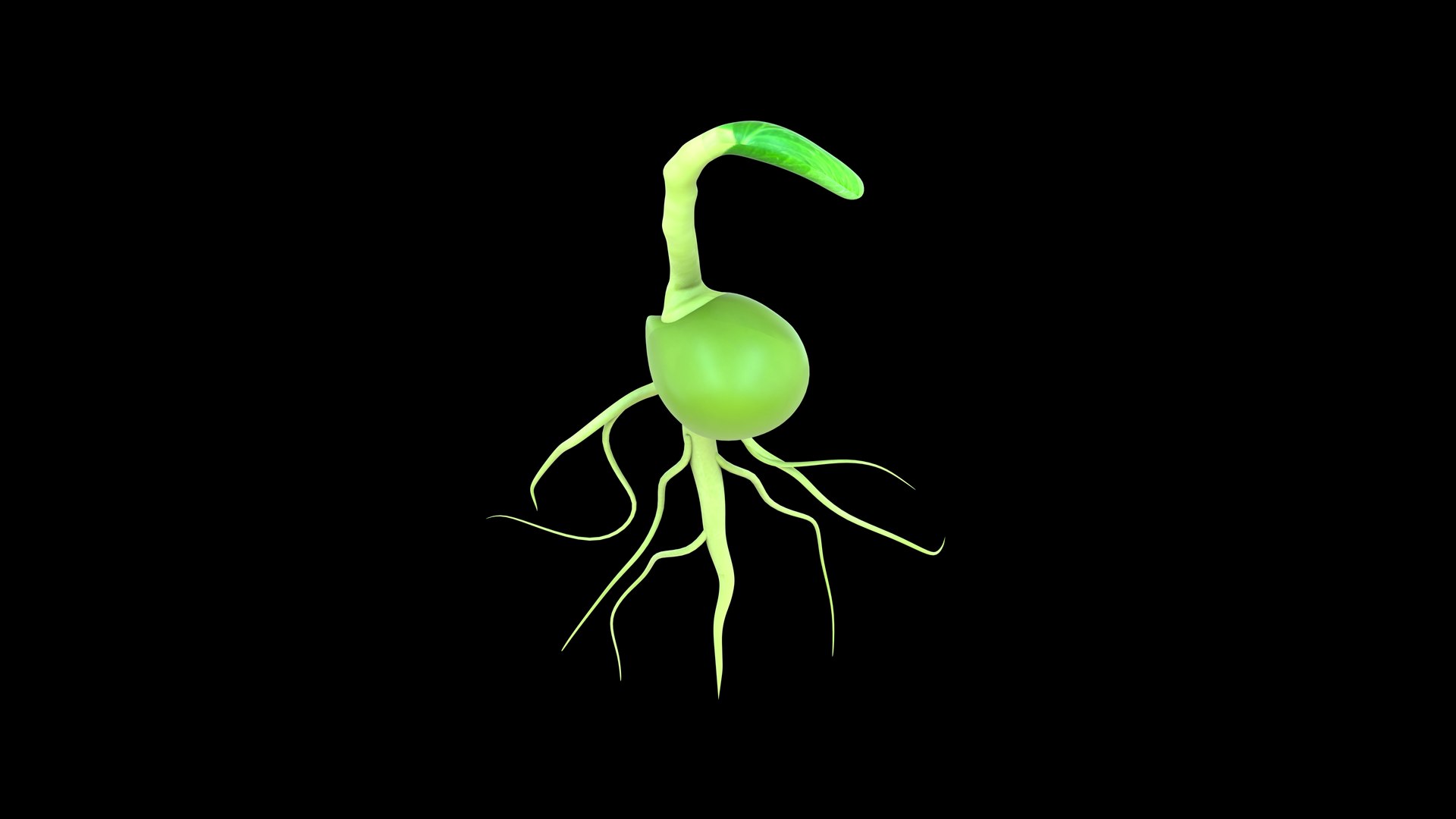 3D Seed Germination - TurboSquid 2207477