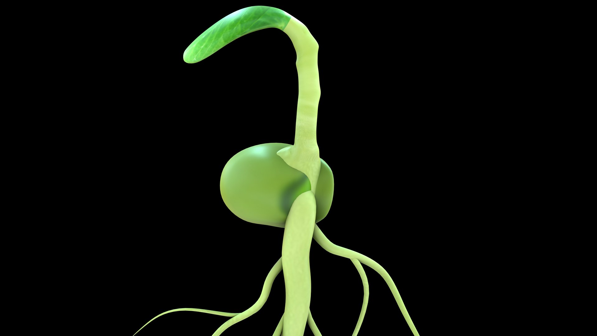 3D Seed Germination - TurboSquid 2207477