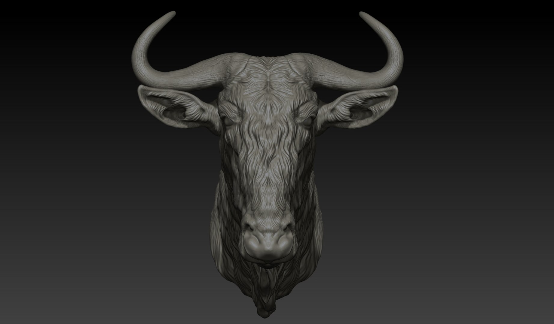 3D Wildebeest Head - TurboSquid 1791004