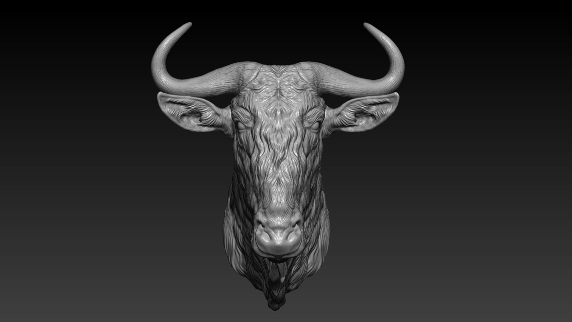 3D Wildebeest Head - TurboSquid 1791004
