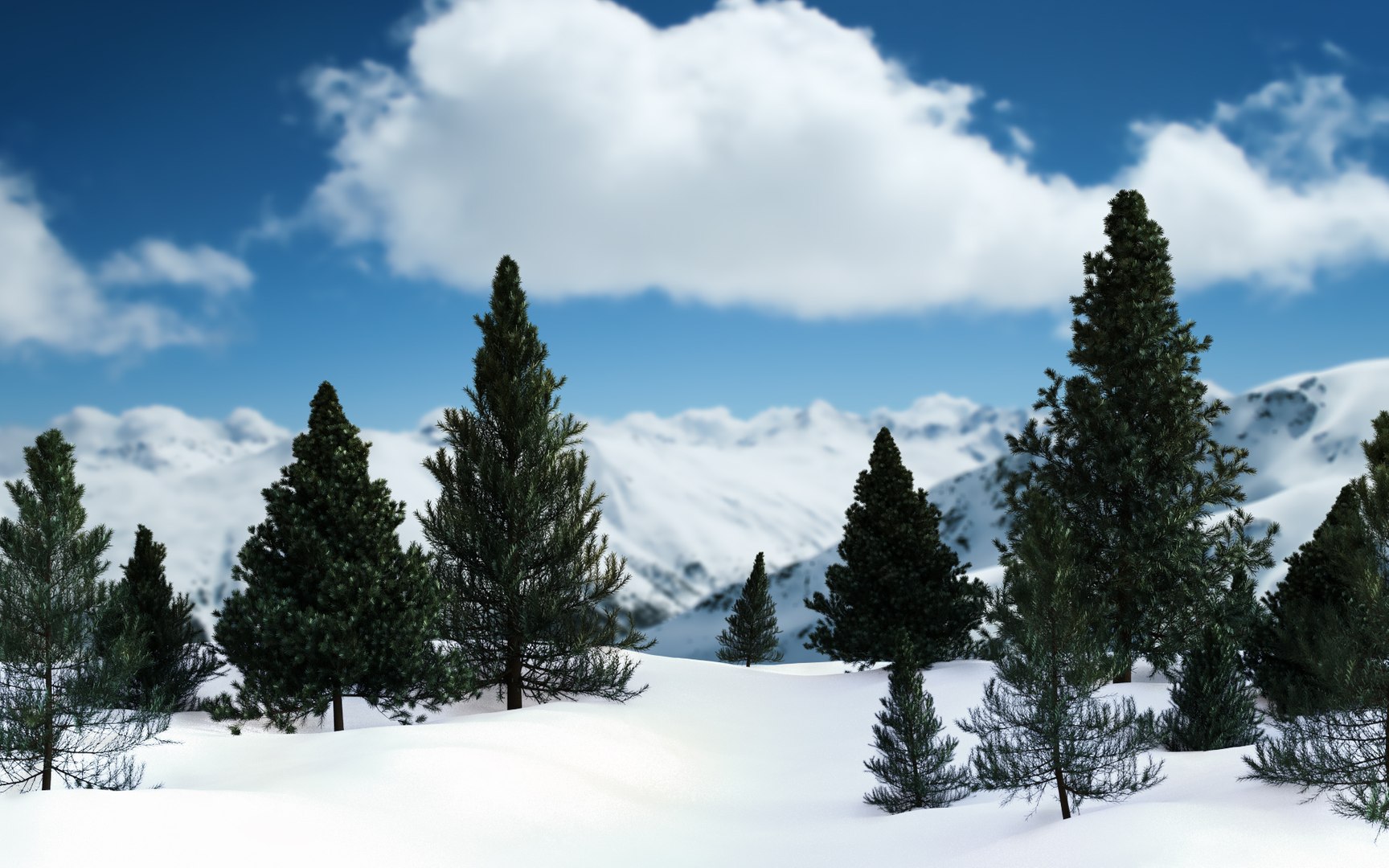 evergreen tree 3d obj