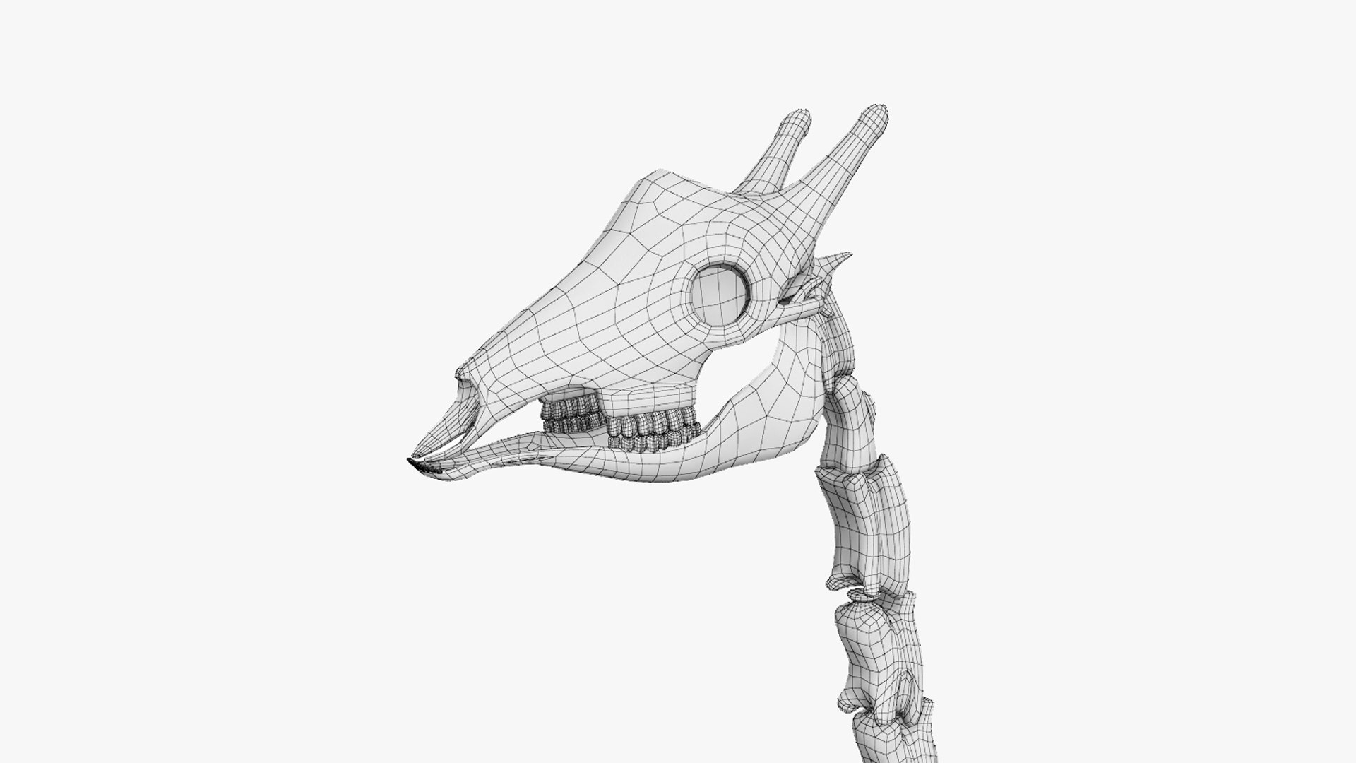 Giraffe Skeleton 3D - TurboSquid 1271632