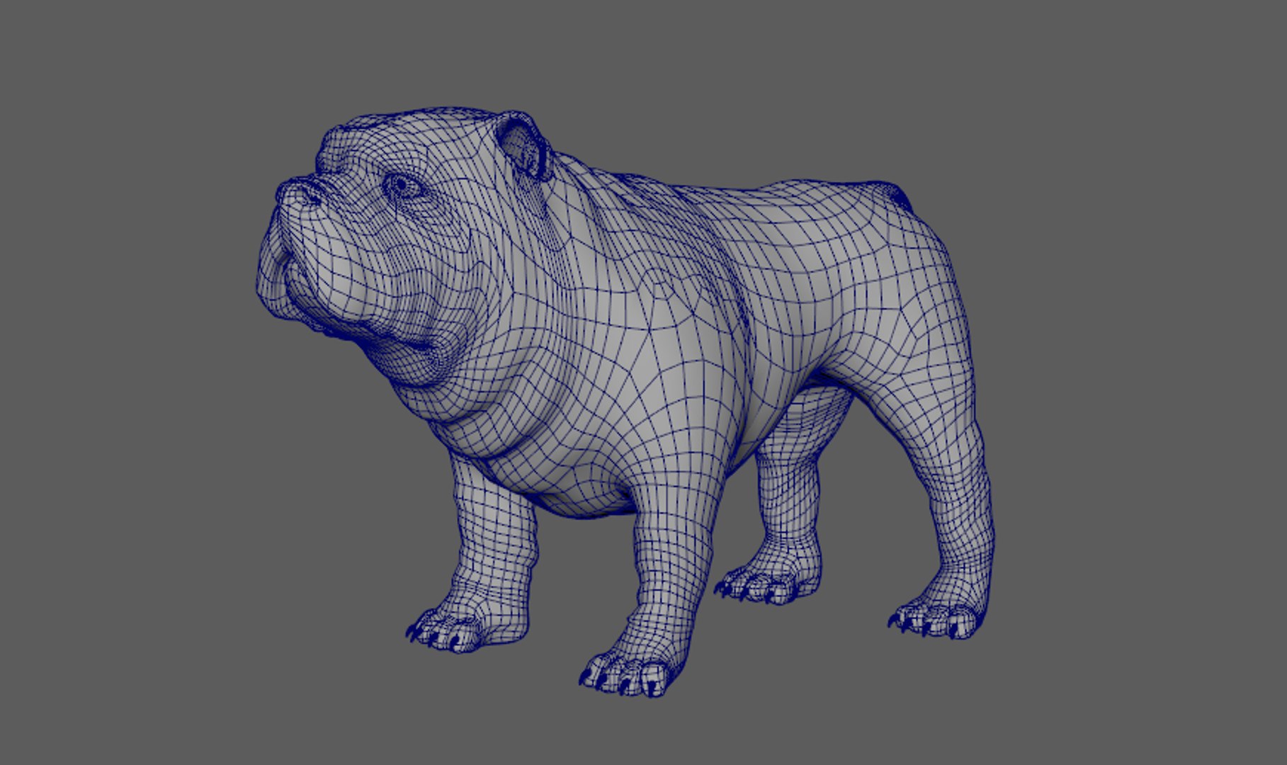 Bull Dog Model - TurboSquid 1516544