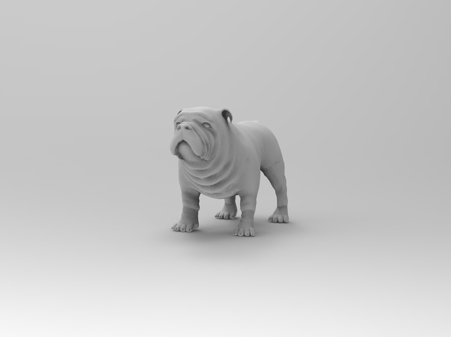 Bull Dog Model - TurboSquid 1516544