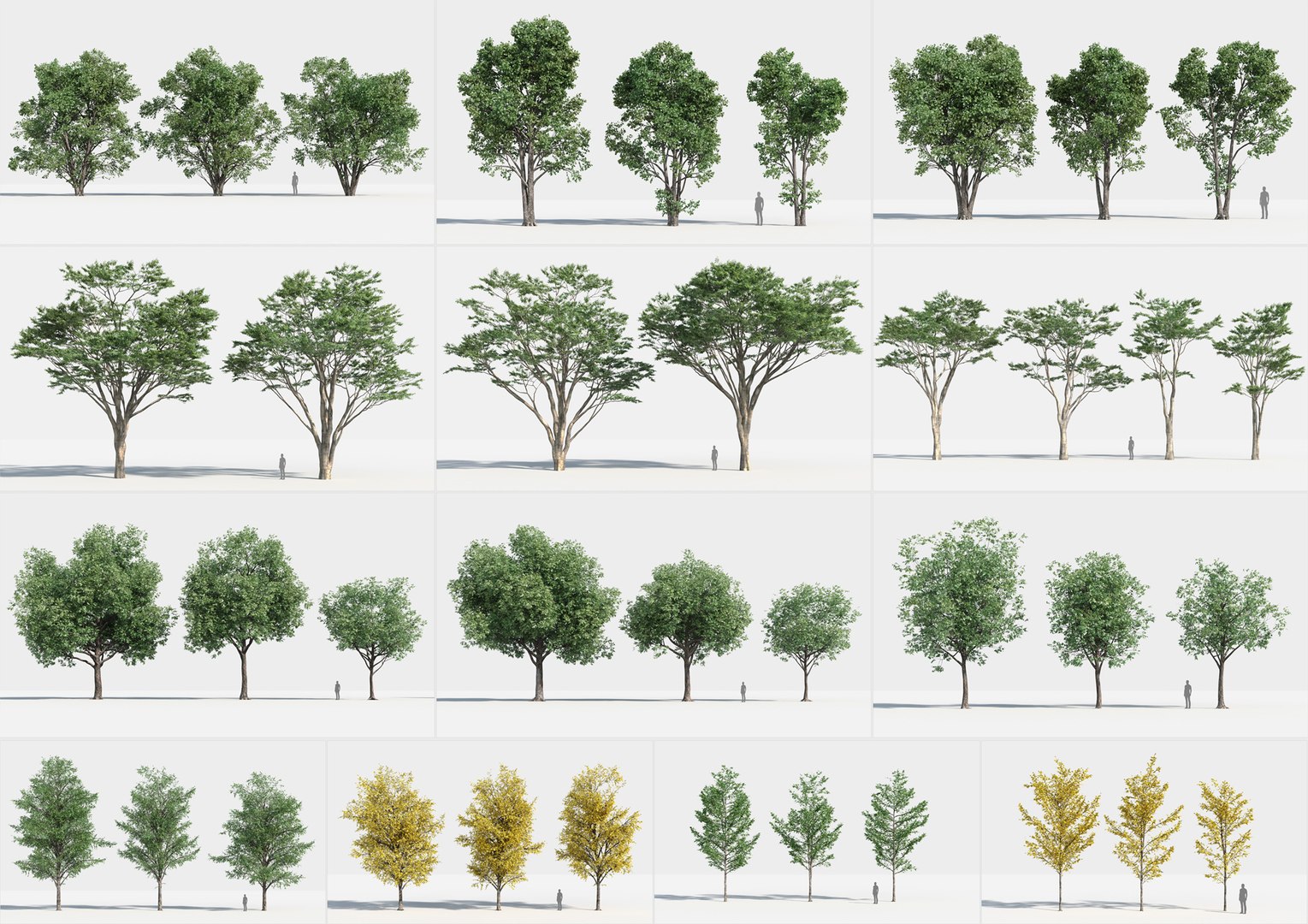 Plants Pack 2: Chinese 3D Model - TurboSquid 1516629