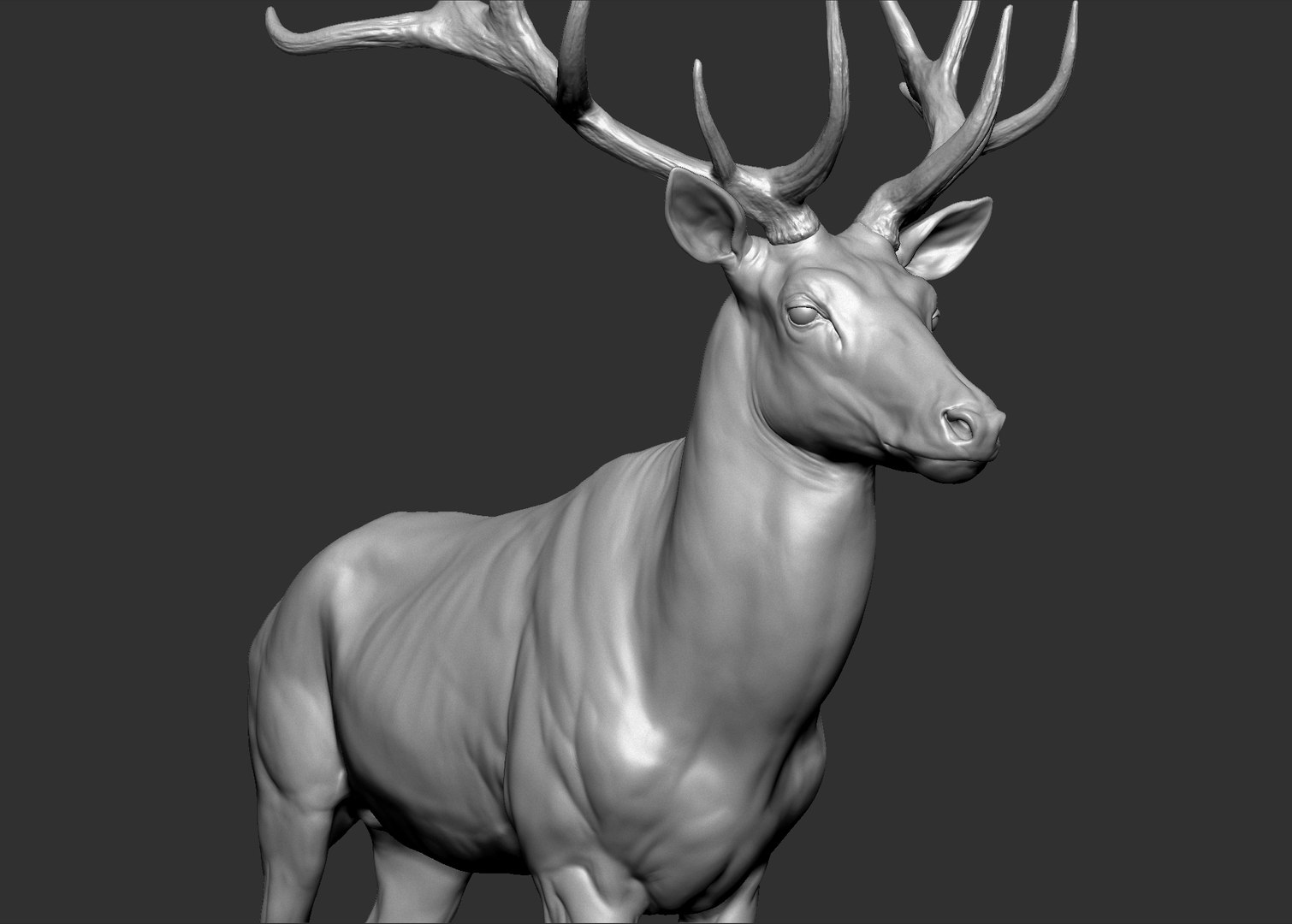 Red Deer Stag Elk VFX MUSCLE SIMULATION 3D - TurboSquid 1752018