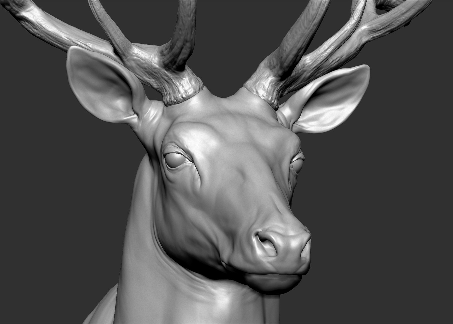 Red Deer Stag Elk VFX MUSCLE SIMULATION 3D - TurboSquid 1752018