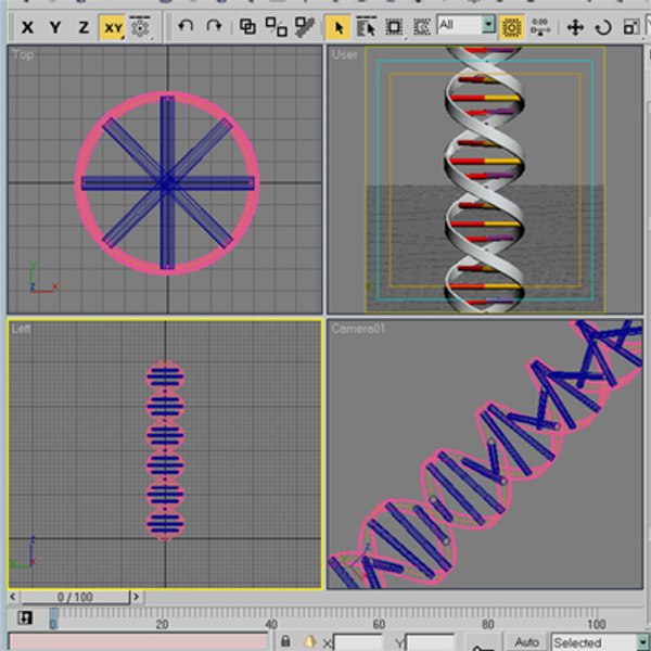 dna 3d model