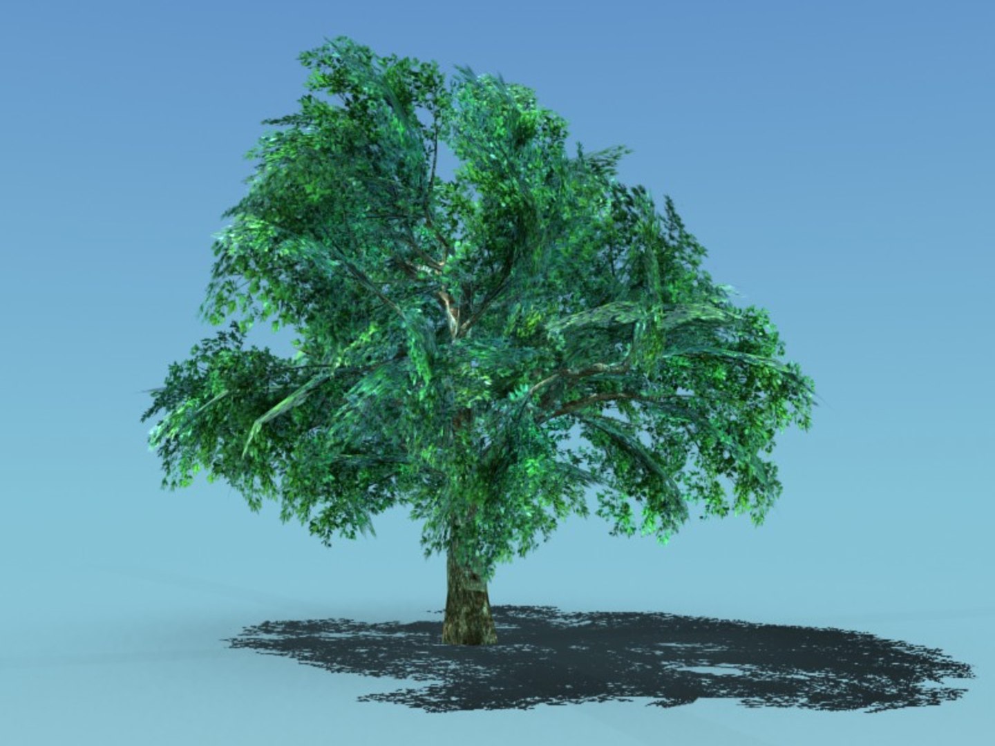tree max
