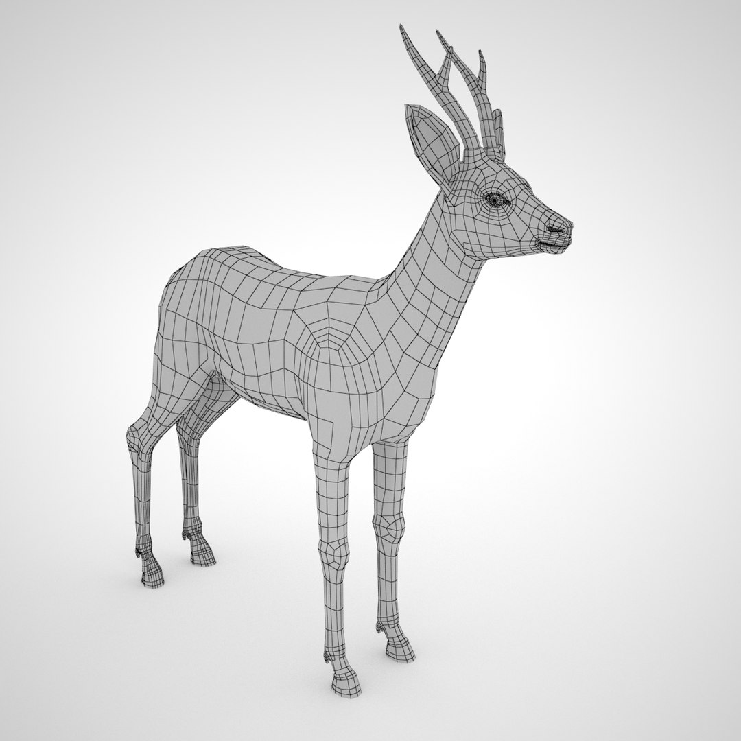 Roe Deer Male - Model - TurboSquid 1301458