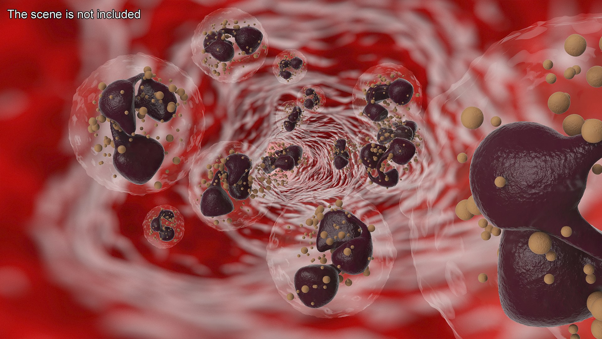 Blood Cells Collection 3D - TurboSquid 2151240