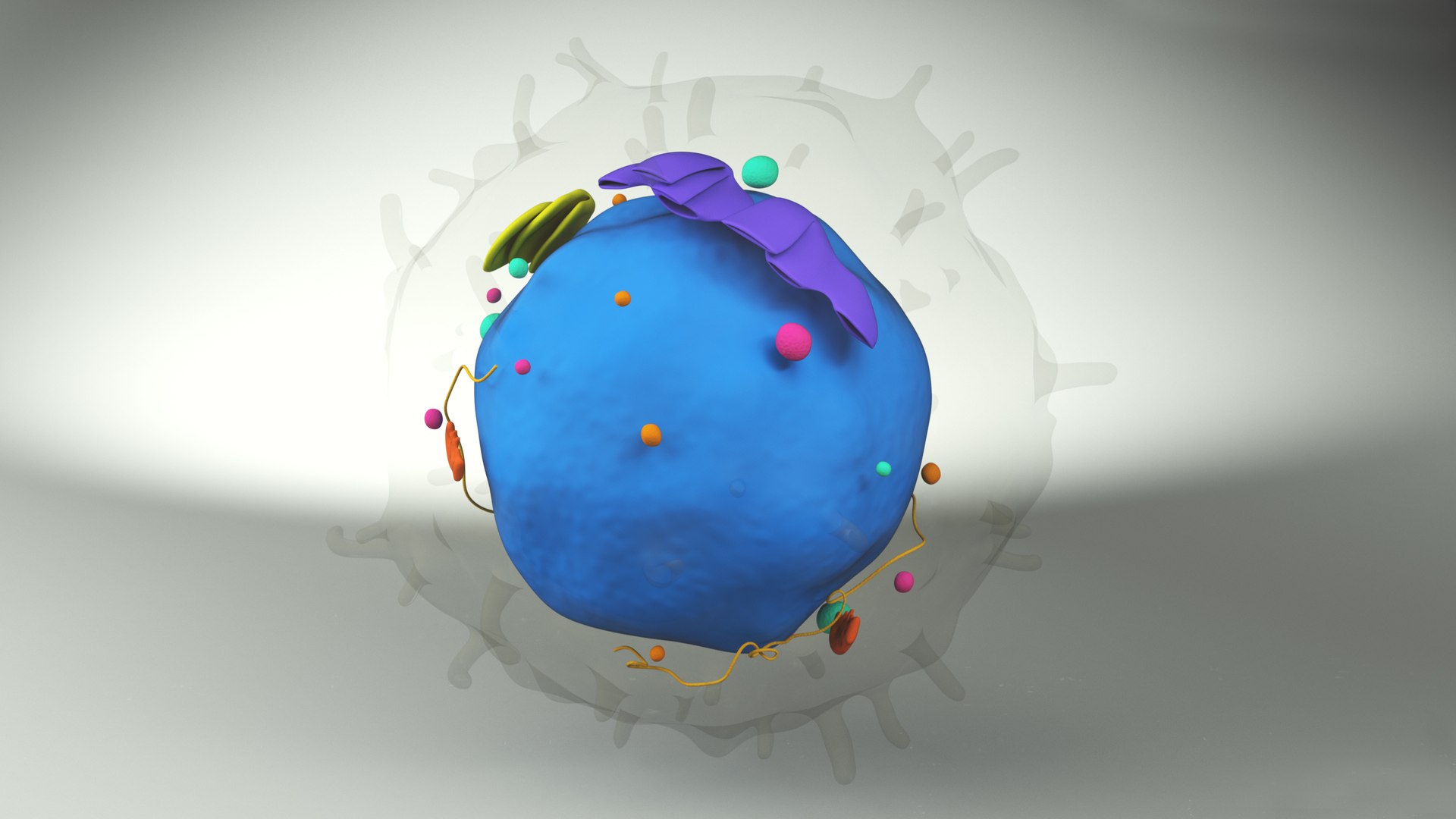 Blood Cells Collection 3D - TurboSquid 2151240