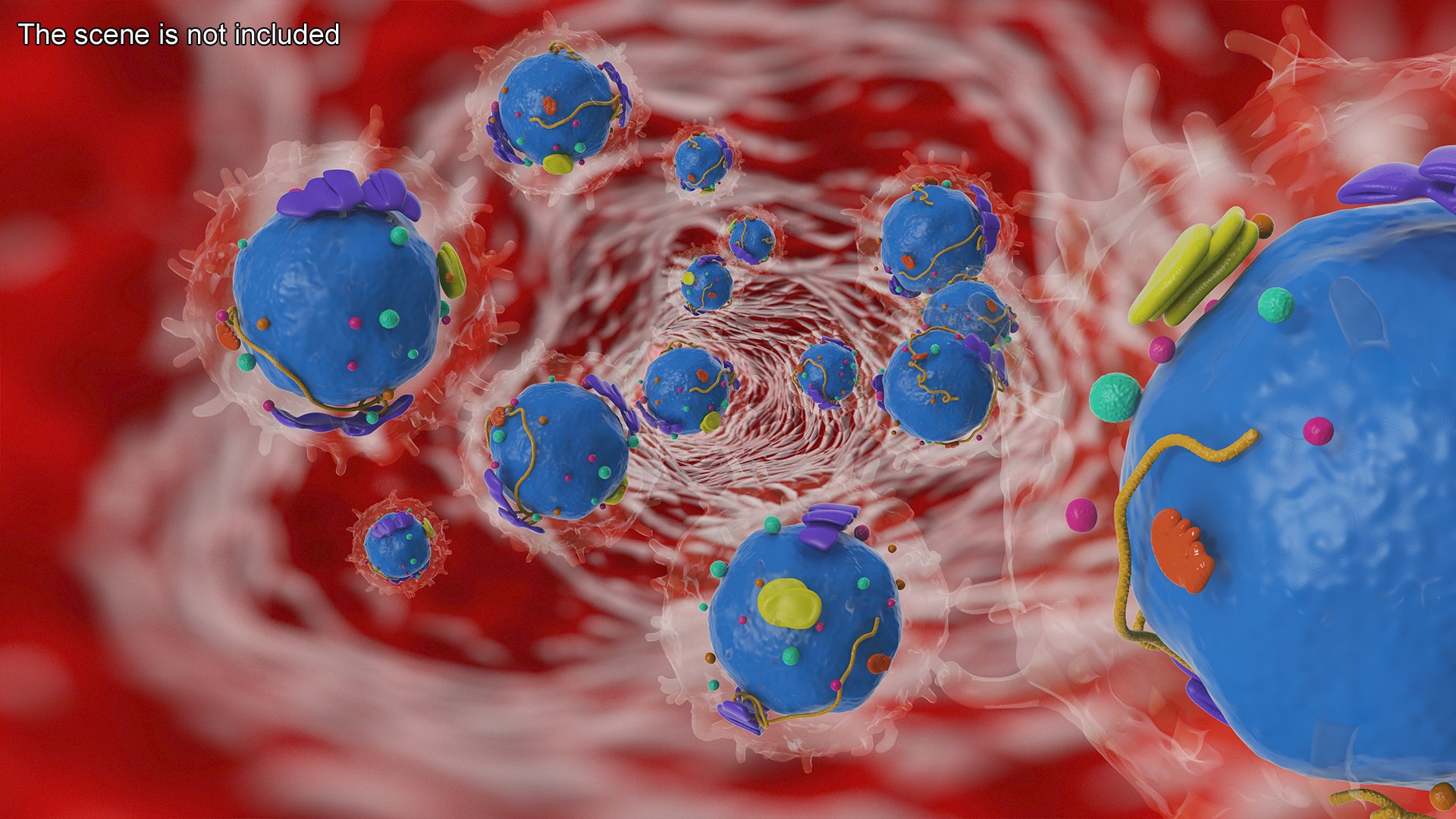 Blood Cells Collection 3D - TurboSquid 2151240