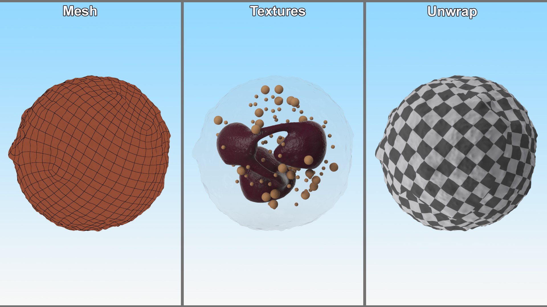 Blood Cells Collection 3D - TurboSquid 2151240