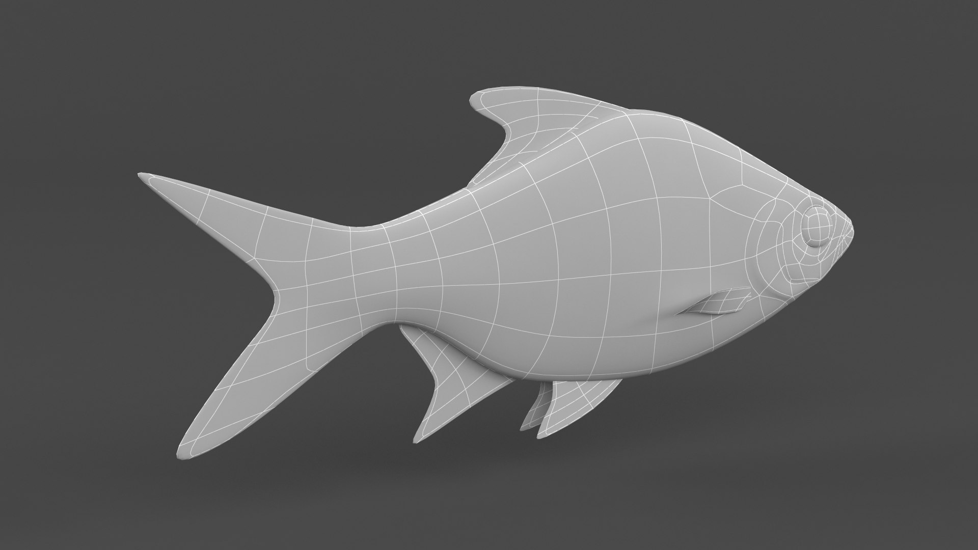 3D Tinfoil Barb Fish - TurboSquid 2193112