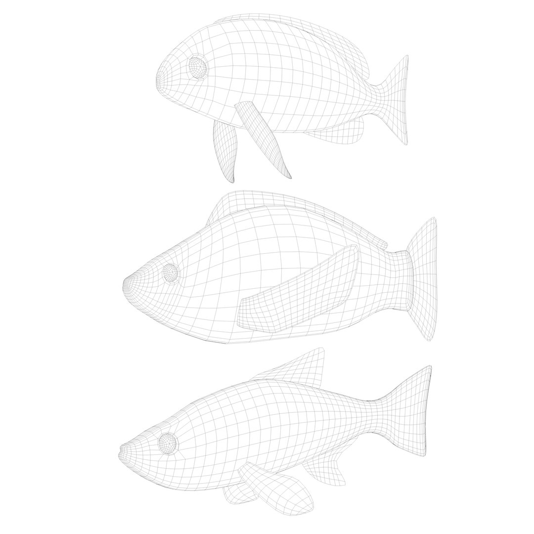 Fish Set Rigged model - TurboSquid 2156810