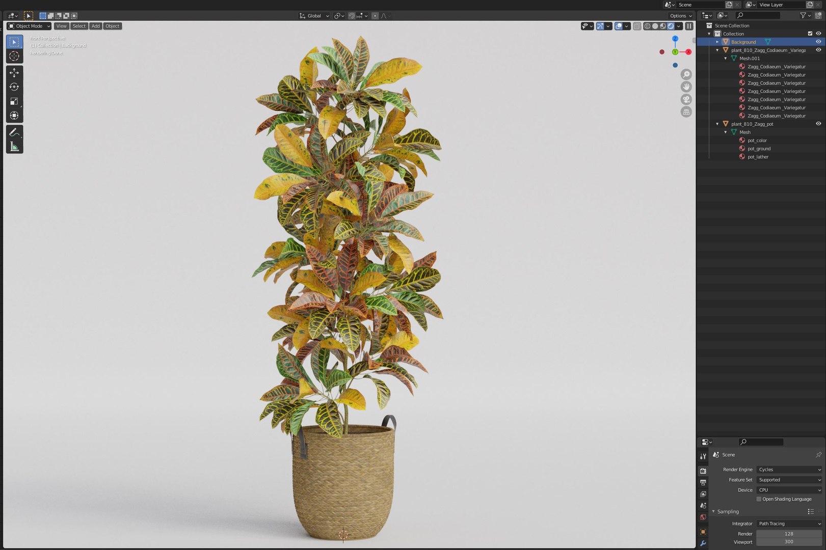 Plants Collection 810 Model - TurboSquid 1963642