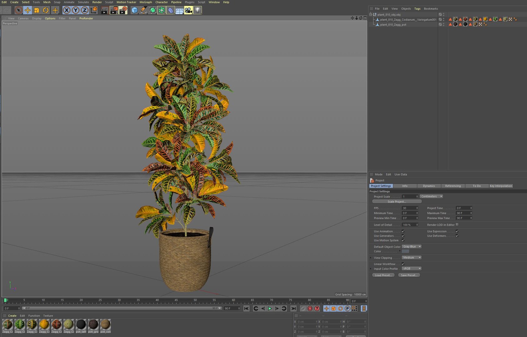 Plants Collection 810 Model - TurboSquid 1963642