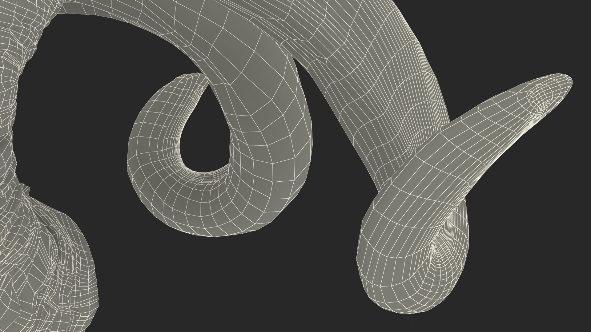 Old Ram Horns 3D model - TurboSquid 1953134