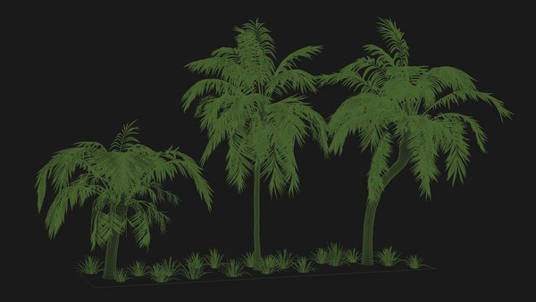 Tropical Palm 3 trees 3D model - TurboSquid 1779599