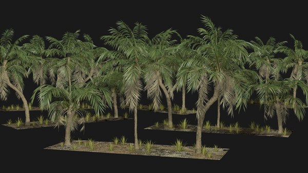 Tropical Palm 3 trees 3D model - TurboSquid 1779599