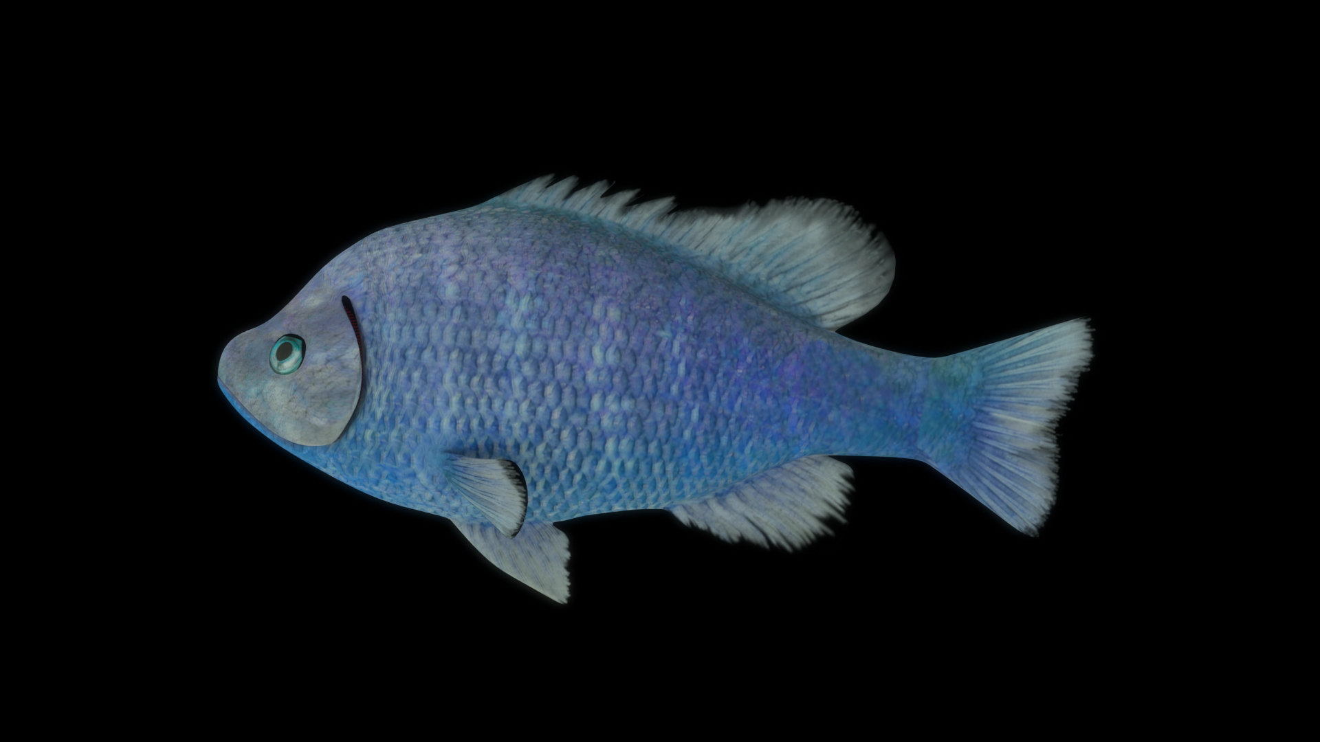 3D Model Fish - TurboSquid 2185831